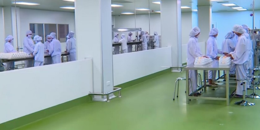 Pharmaceutical Factory(Insein) :Over 140 types of pharmaceuticals are ...