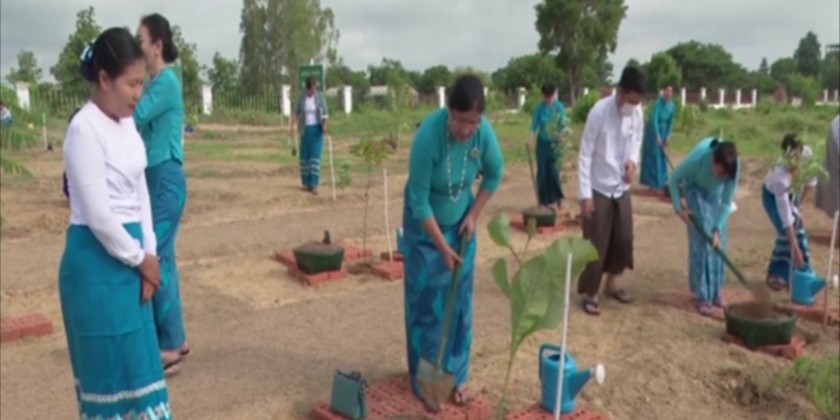 Commemorative Event: Tree planting ceremony to honour Myanmar Women’s ...
