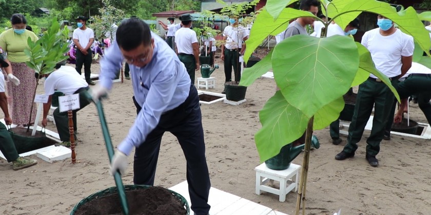 Tree Planting Ceremony: An event to commemorate Myanmar Women’s Day ...