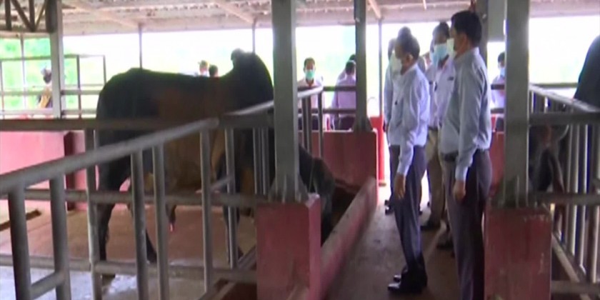 Agriculture and Livestock Breeding: 26th Mile Integrated Breeding Zone ...