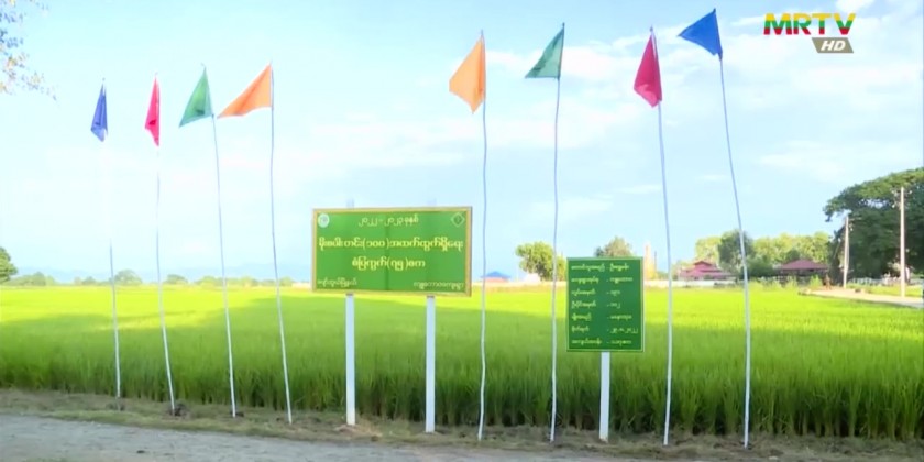 Regional Development in Yamethin: Kyee Ni Lake & Technological ...