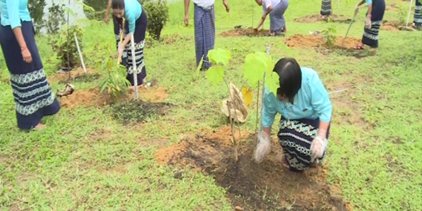 Tree-planting ceremony: MIFER’s 2022 monsoon tree-planting ceremony ...
