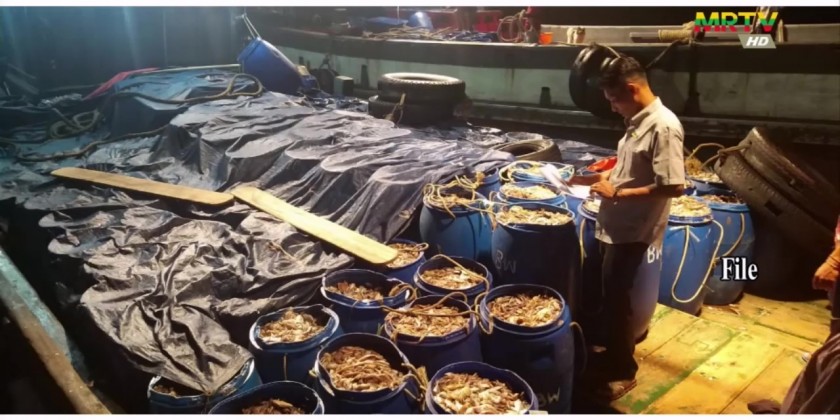 Marine Products Export: More than 6 million USD exported in 10 months ...