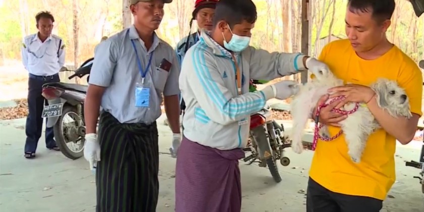 Rabies Vaccination Program: Program underway in Tatkon Township area ...