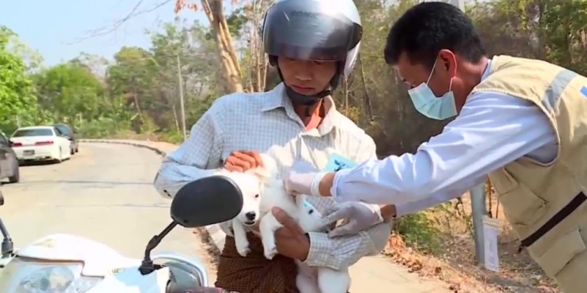 Rabies Vaccination Program: Program underway in Tatkon Township area ...