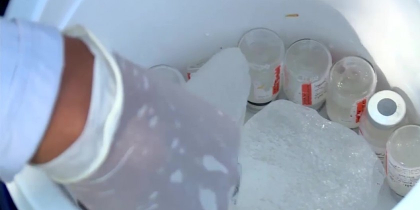 Rabies Vaccination Program: Program underway in Tatkon Township area ...