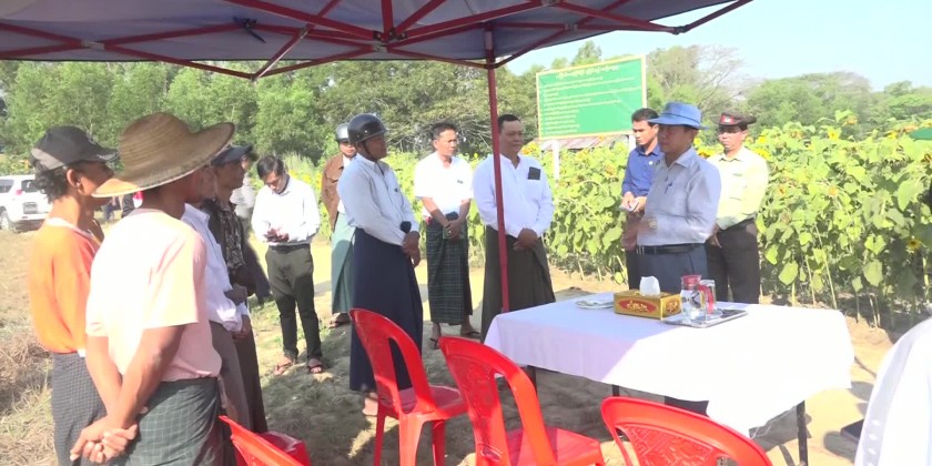 Boosting Agricultural Produces: MOALI Dy Minister visits Ayeyawady ...
