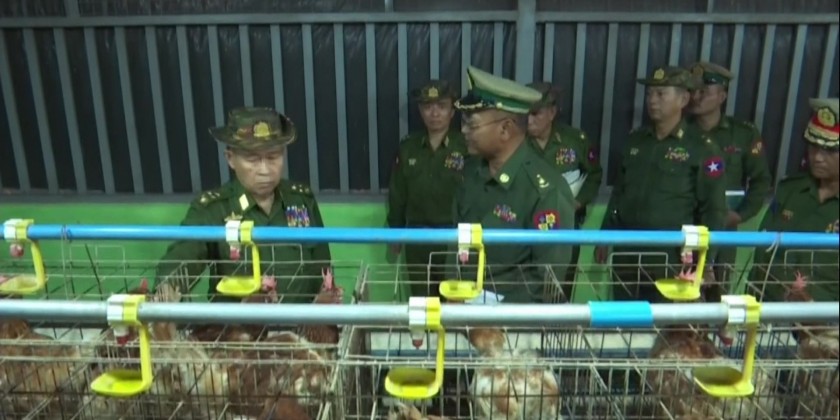 Inspection of cultivation and livestock: Model cultivation & livestock ...