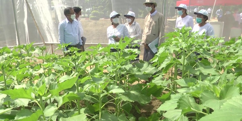 Agriculture Development: Seed Farm inspected, and meeting with farmers ...