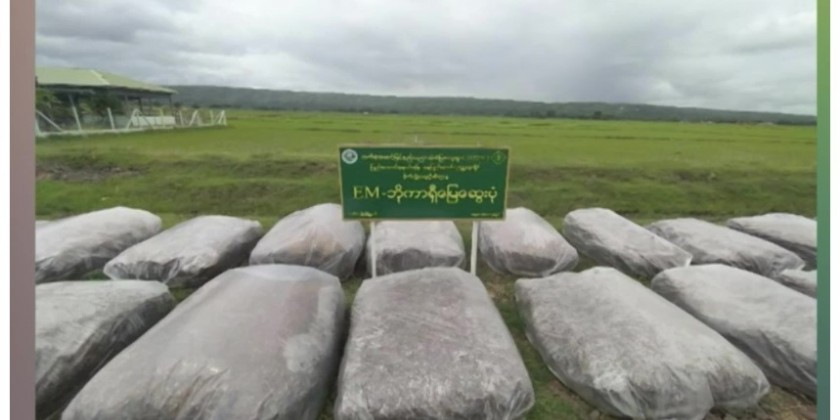 Agriculture Sector: Targeted cultivated acres of winter crops completed ...