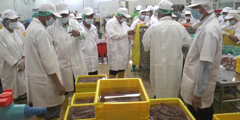 Agriculture and Livestock Sectors: Boosting exports of agriculture and ...
