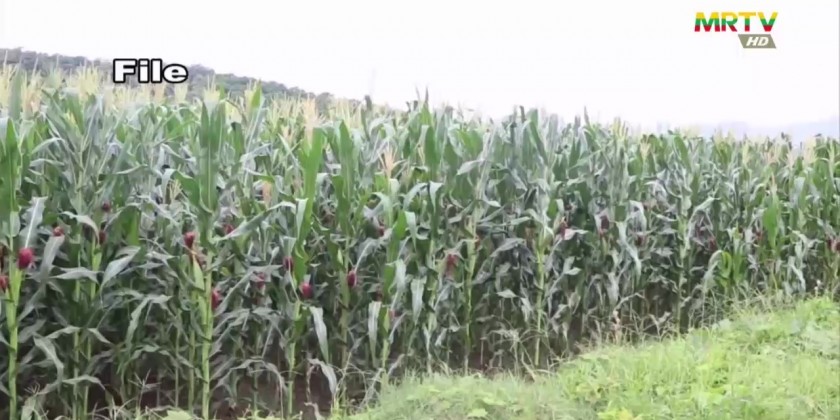 Corn Exports: Expanding corn export market to People’s Republic of ...