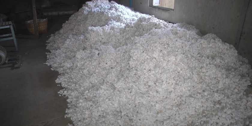 Development of cotton production: Meeting with cotton millers in Pyigyi ...