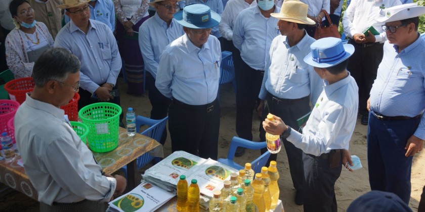 Agriculture Development: MOALI Union Minister inspects sunflower ...