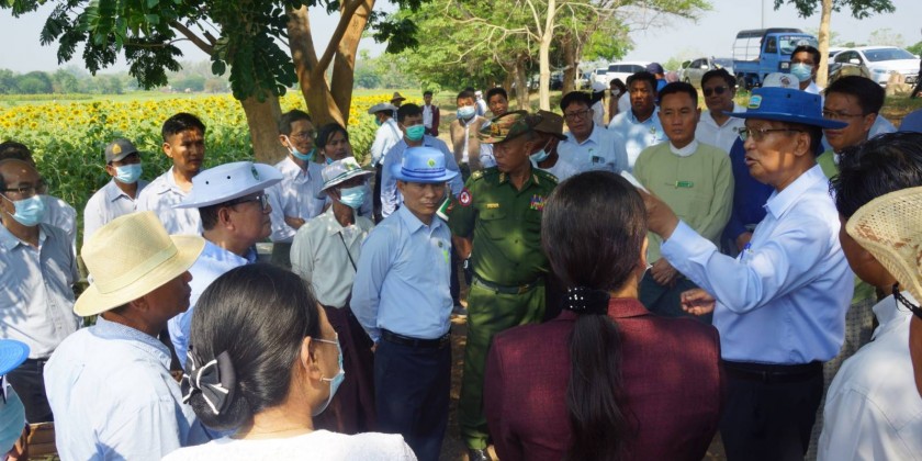 Agriculture Development: MOALI Union Minister inspects sunflower ...