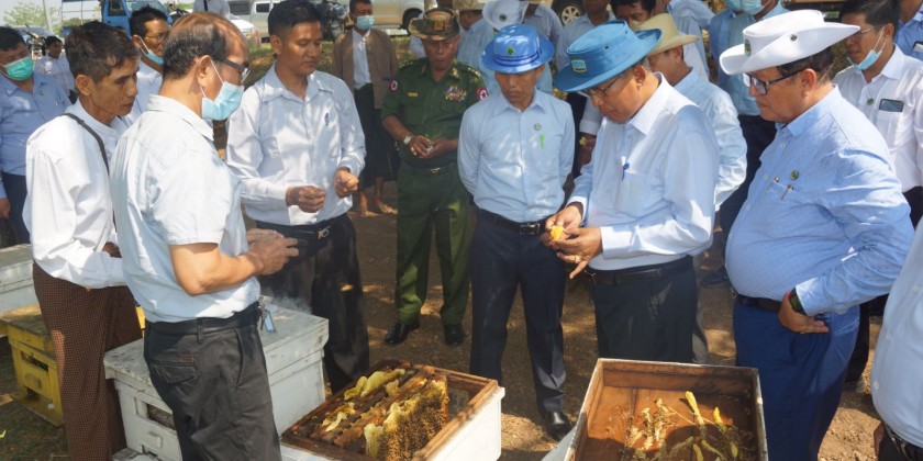 Agriculture Development: MOALI Union Minister inspects sunflower ...