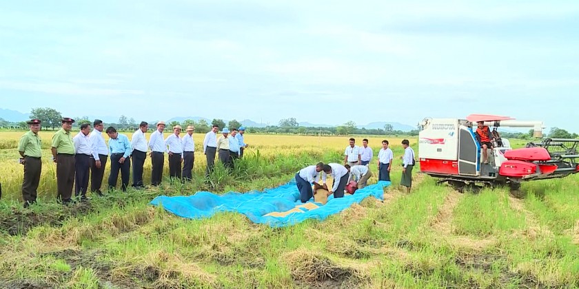 Mechanized Farming: Demonstration for summer paddy harvesting | Myanmar ...