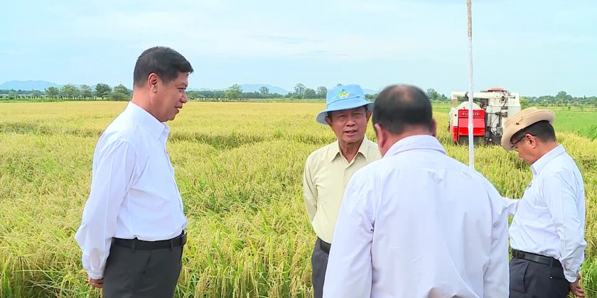 Mechanized Farming: Demonstration for summer paddy harvesting | Myanmar ...