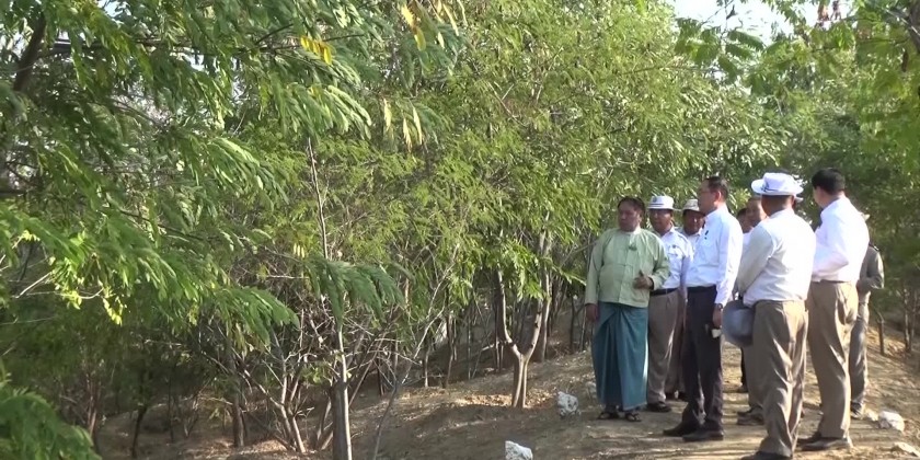 Inspection of reforestation efforts: MoNREC UM inspected the ...