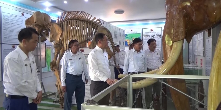 Inspection of reforestation efforts: MoNREC UM inspected the ...