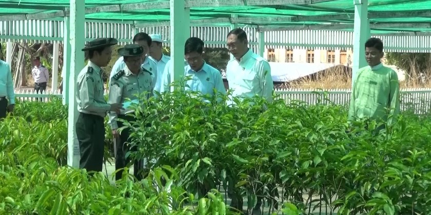 Inspection of reforestation efforts: MoNREC UM inspected the ...