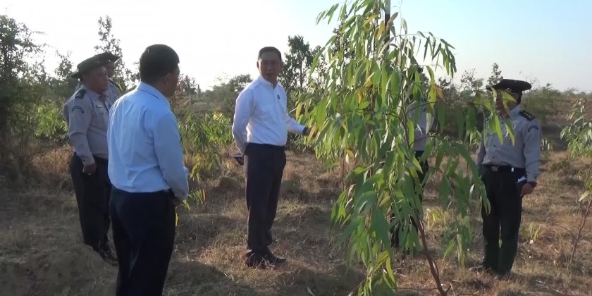 Inspection of reforestation efforts: MoNREC UM inspected the ...