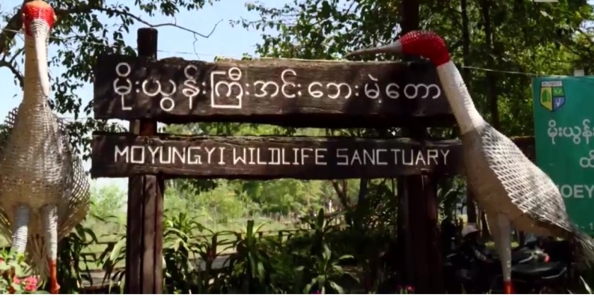 Moe Yun Gyi Wildlife Sanctuary: 10-year plan to restore the habitats of ...
