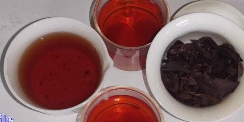 Tea plantations in Shan State: Aiming for the increased yield of tea ...