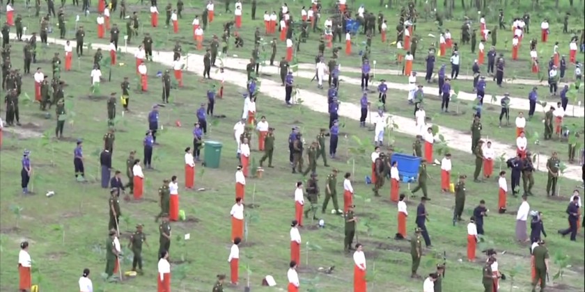 Efforts for Reforestation : Third Monsoon Tree Planting Ceremony for ...