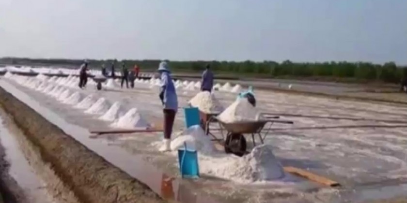 Salt Production in Rakhine: The number of salt farmers has increased to ...