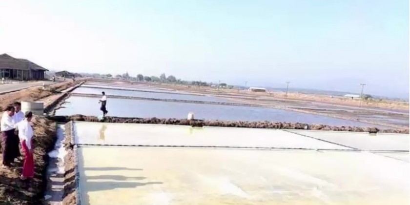 Salt Production in Rakhine: The number of salt farmers has increased to ...