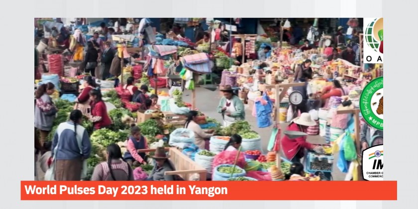 Pulses for a Sustainable Future: World Pulses Day 2023 held in Yangon ...