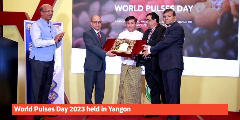 Pulses for a Sustainable Future: World Pulses Day 2023 held in Yangon ...