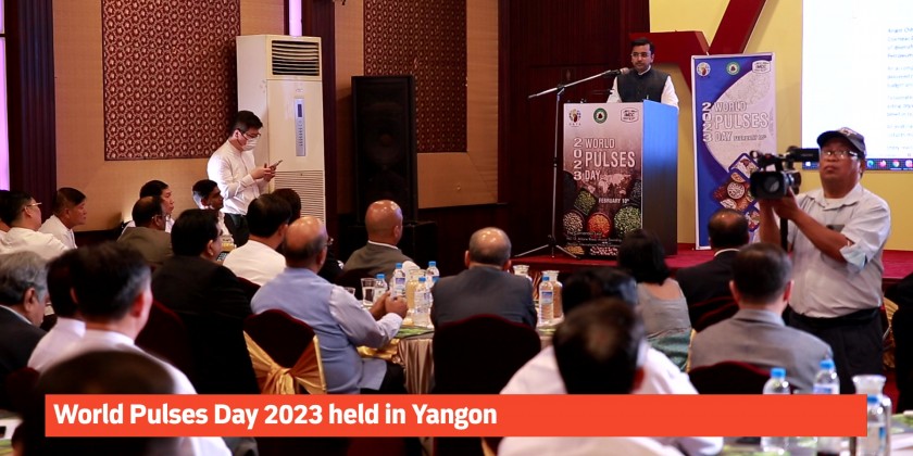 Pulses for a Sustainable Future: World Pulses Day 2023 held in Yangon ...