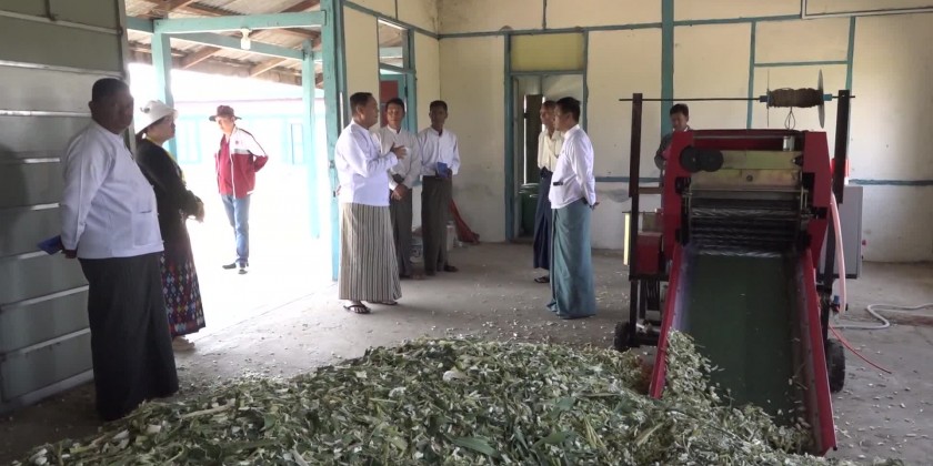 Agriculture and Livestock: Visit to the Integrated Farm in Pyinmana ...