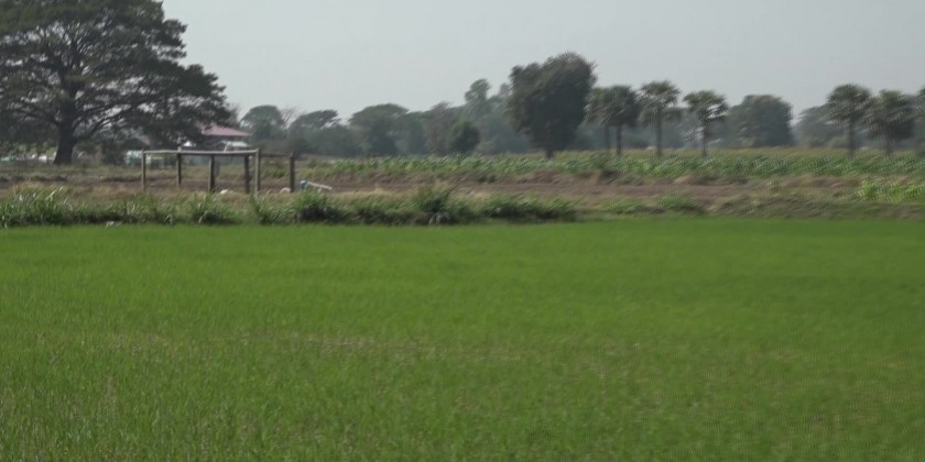 Agriculture and Livestock: Visit to the Integrated Farm in Pyinmana ...