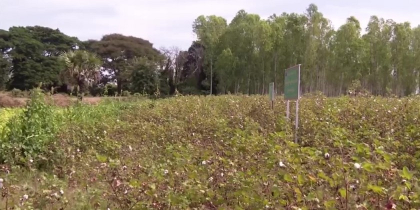 Agriculture Sector: Knowledge Center established in Salin Township ...