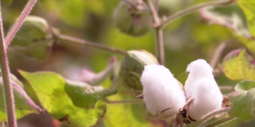 Agriculture Sector: Knowledge Center established in Salin Township ...