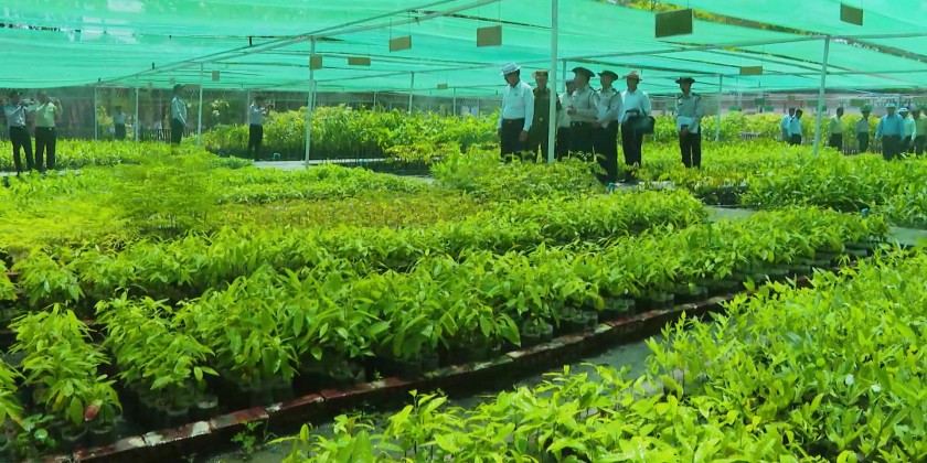 Inspection of nursery gardens: Yangon Region CM inspected nursery ...