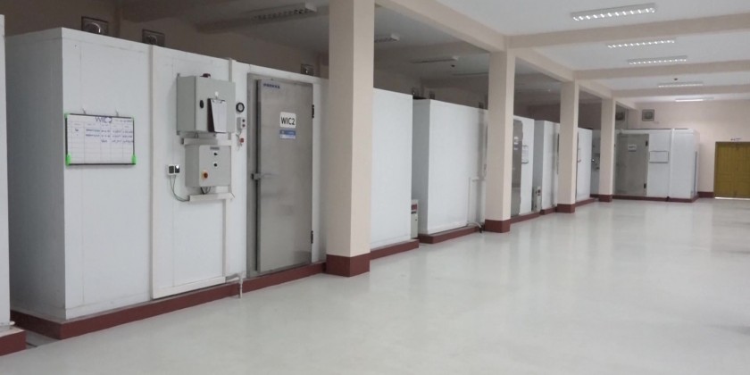 Vaccine storage with cold route: A new building opened at the Central ...