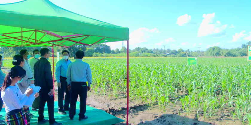 Agriculture and Livestock: MoALI Deputy Minister made inspection ...