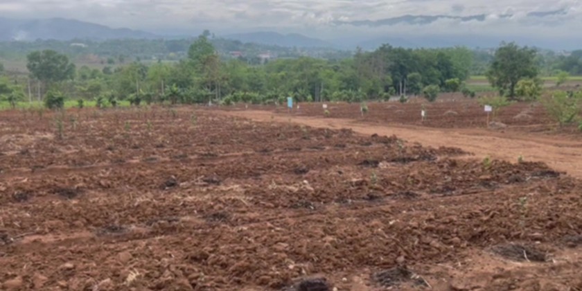 Agriculture Development: Agriculture Research Farm in c inspected ...