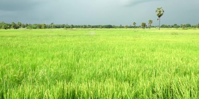 Efforts for Rural Development: MCRD Union Minister inspected monsoon ...