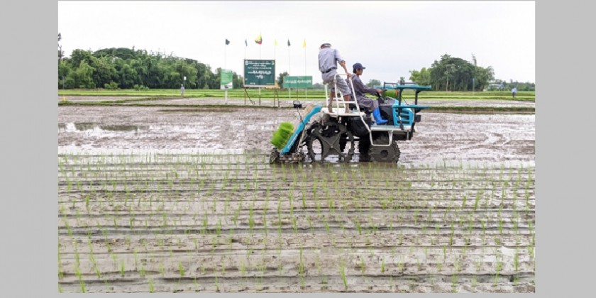 Aid for Agricultural Development: SAC Member provides inputs in Wakema ...