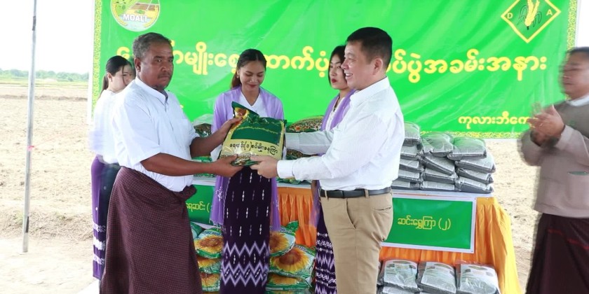 Efforts for Food Sufficiency: Sunflower cultivation demonstrated in ...