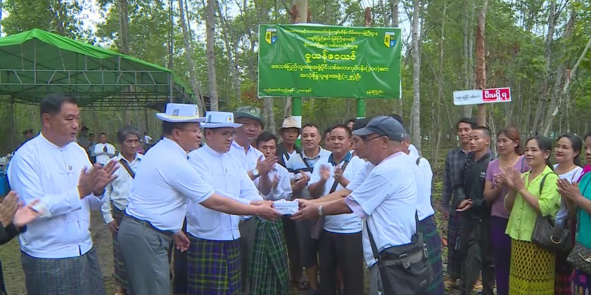 Development Works: Tree planting and Tissue Paper Machine | Myanmar ...