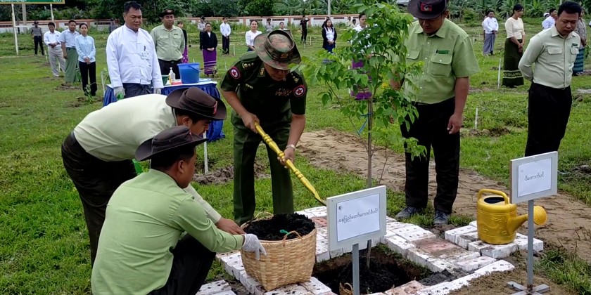 Monsoon Tree Planting Ceremonies: Over 1,200 saplings planted in 8 ...