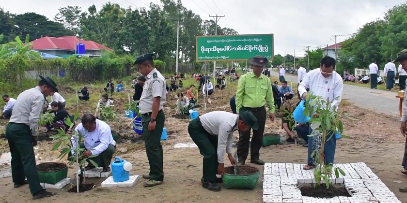 Monsoon Tree Planting Ceremonies: Over 1,200 saplings planted in 8 ...