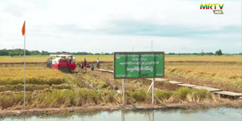 Inspection in Ayeyawady Region: Community Center, paddy harvesting and ...