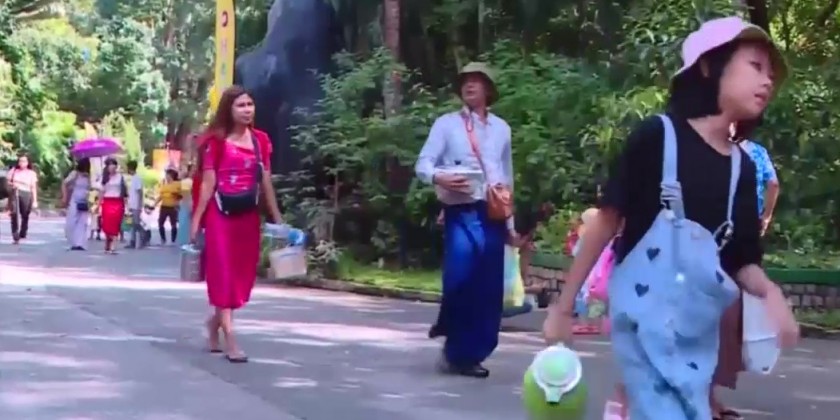 Yangon Zoological Gardens: Clever animal shows resumed every weekend ...